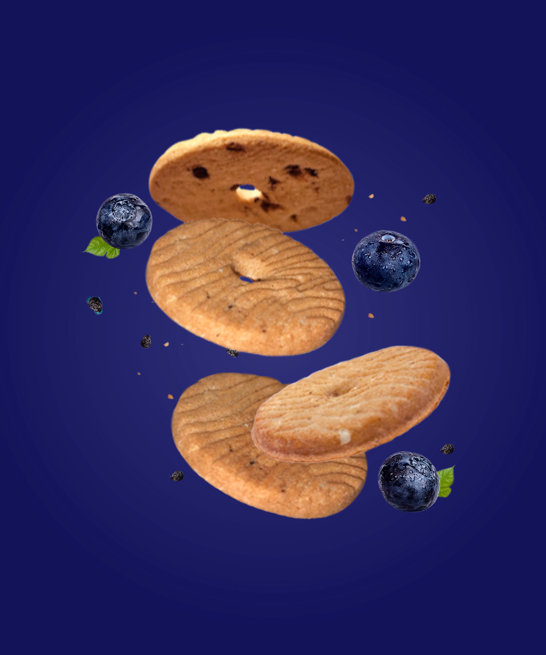 Galletas de Quinua y Arándanos | Snacks Saludables | NUTRI Co – NUTRI ...